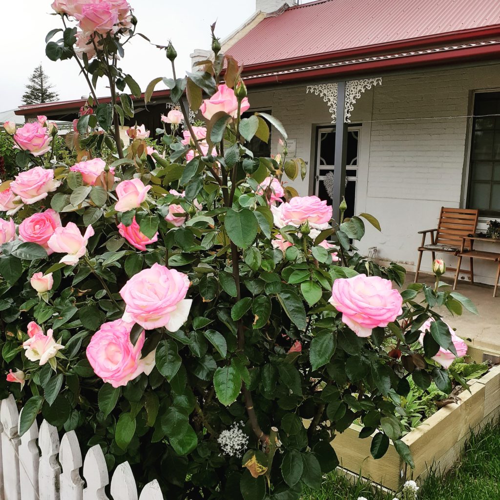 This Unwritten Life by Kerry Rochford — wattletales.com.au